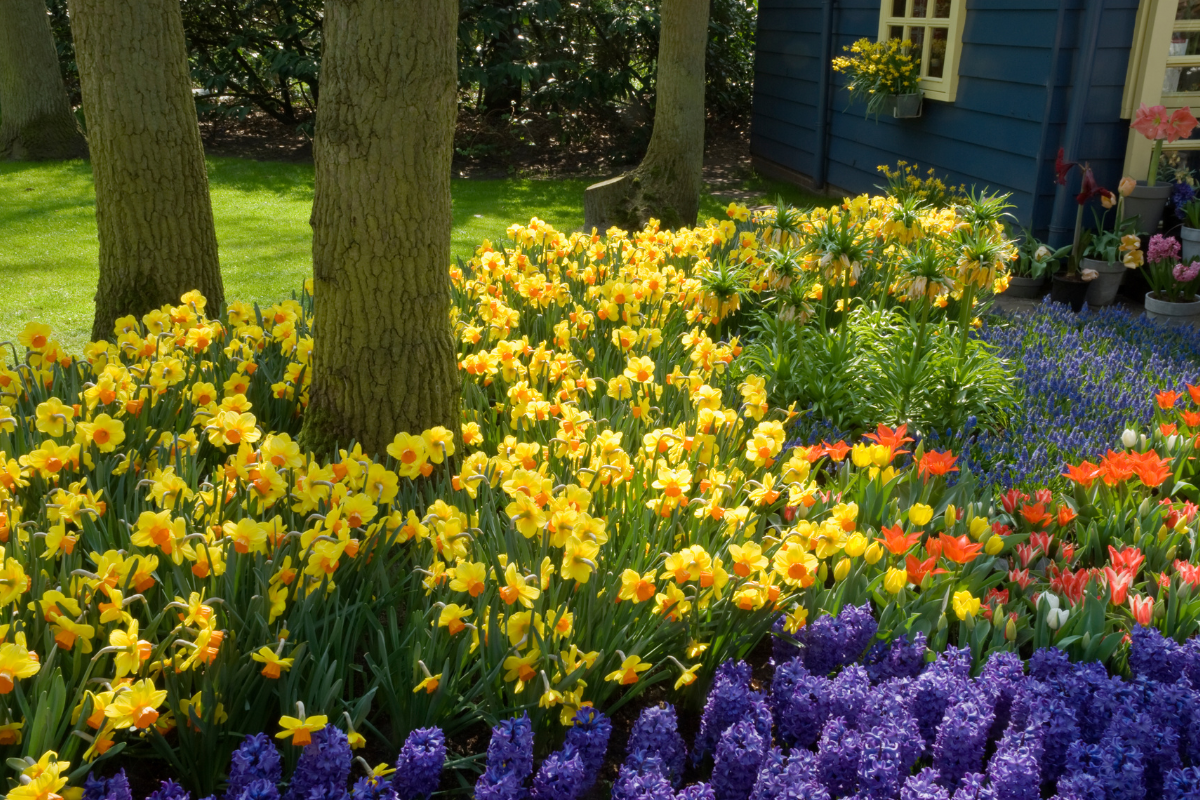 The Ultimate Guide to Spring Landscaping | Scioto Green Garden